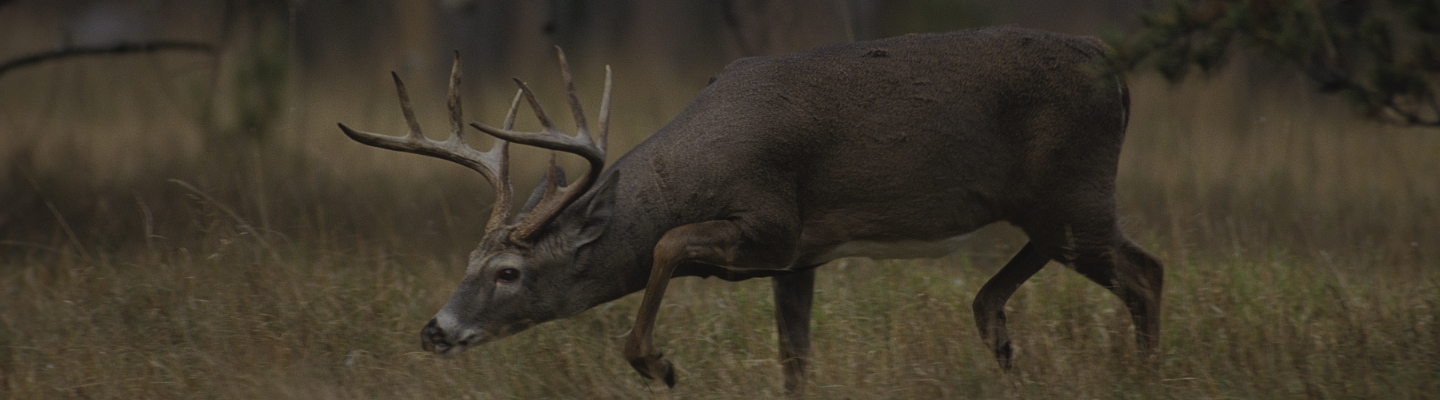 Products Archive - Hunters EdgeHunters Edge